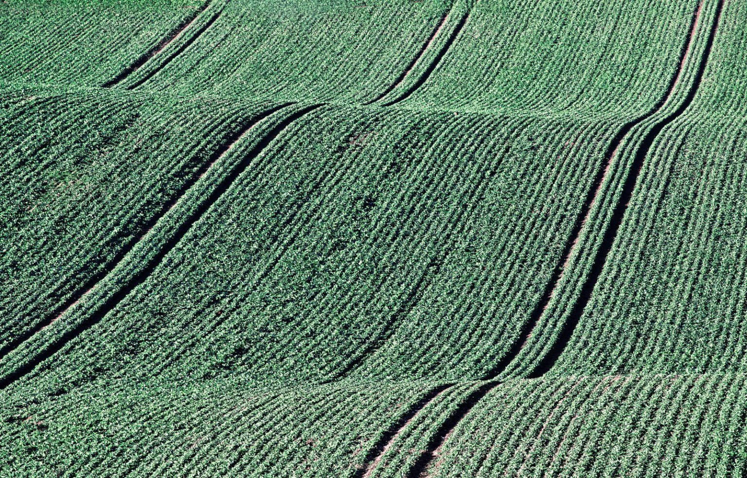 Reasons to Visit Wilson Wraight at Cereals 2023: FFRF – Wilson Wraight