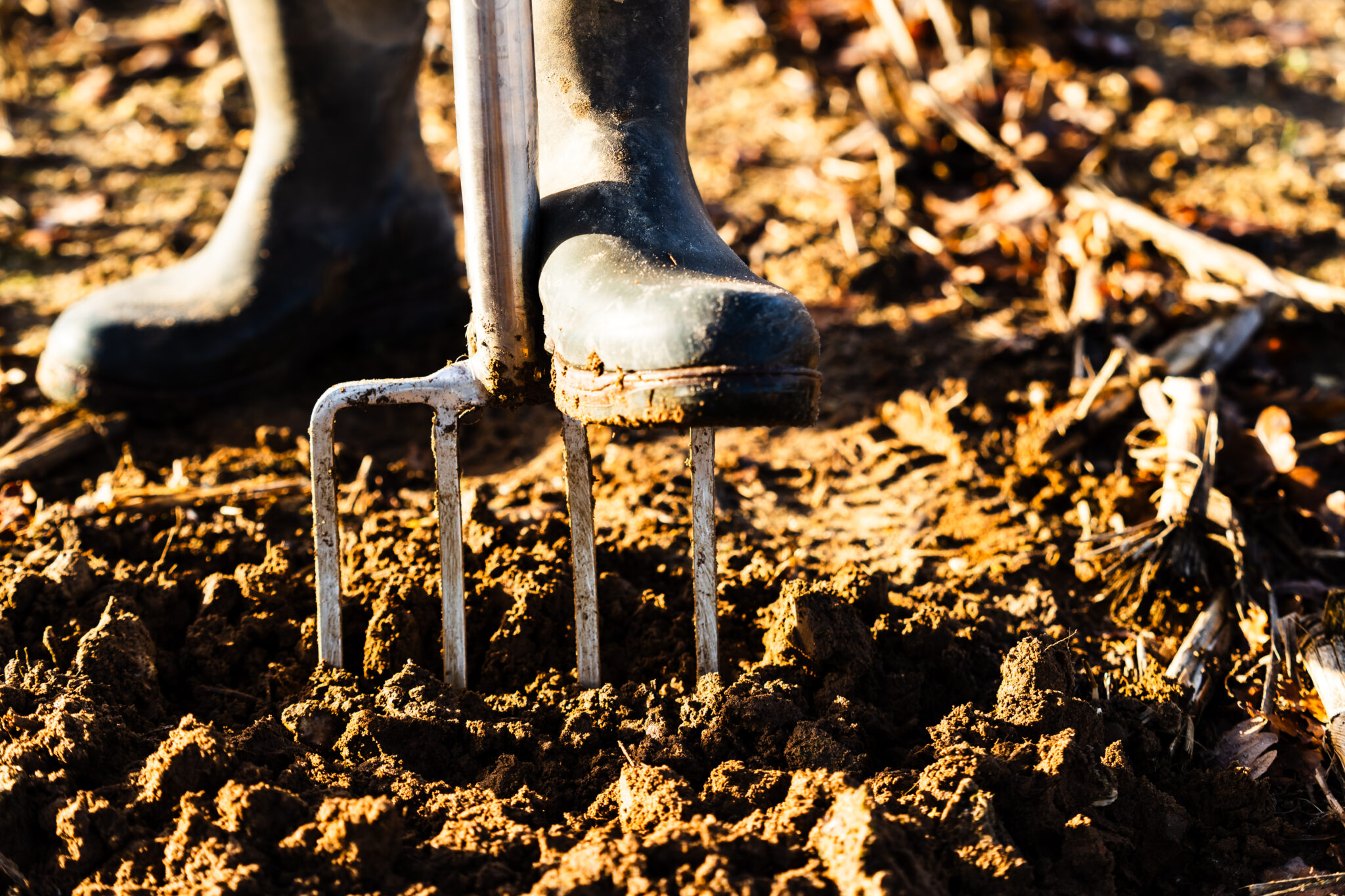 William Chinn – Wilson Wraight