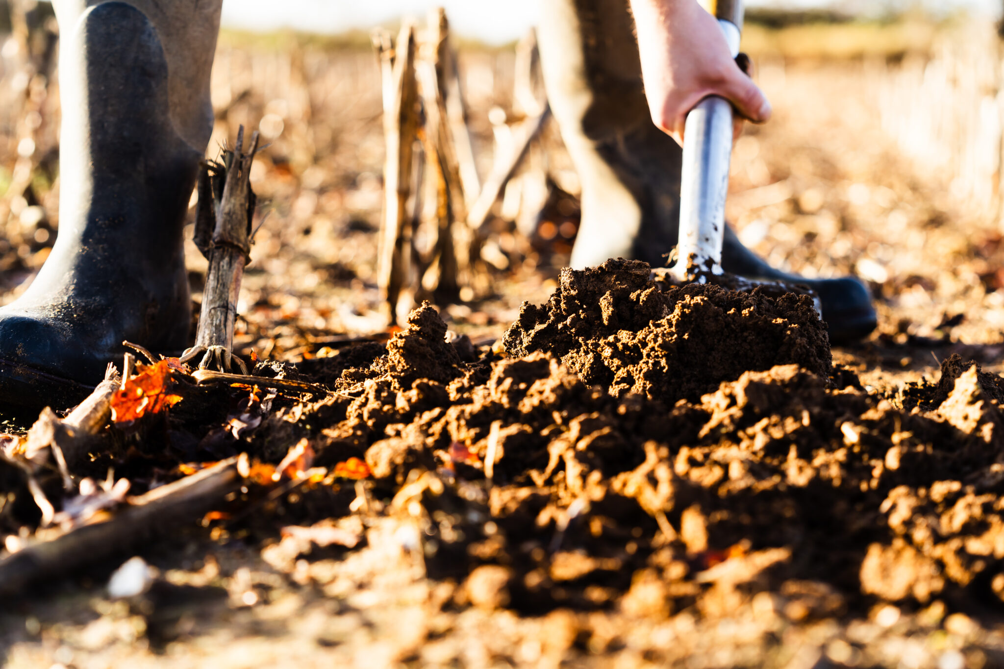 Ed Salisbury – Wilson Wraight